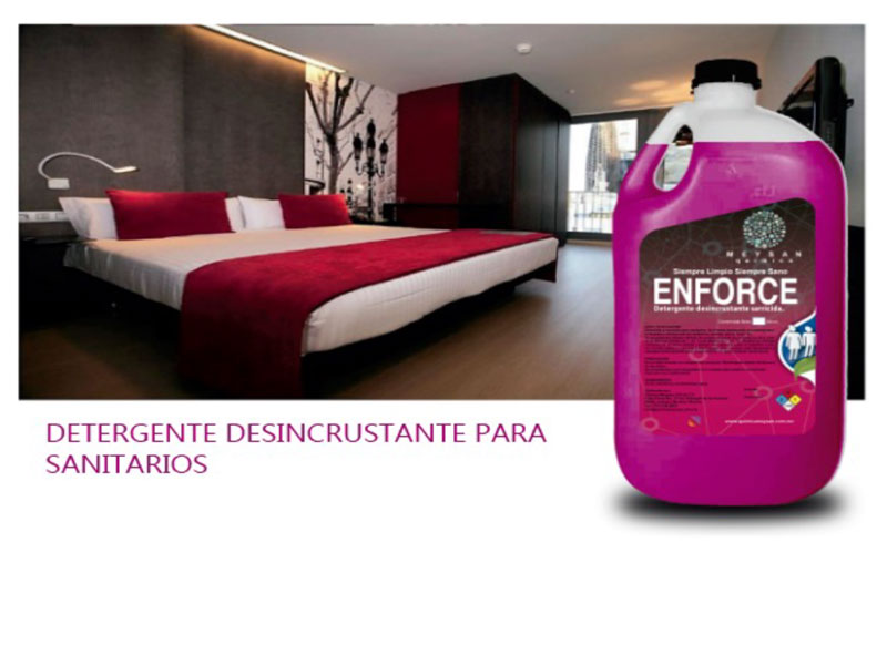 Desincrustante Sarricida con Acción Desinfectante - Química Meysan